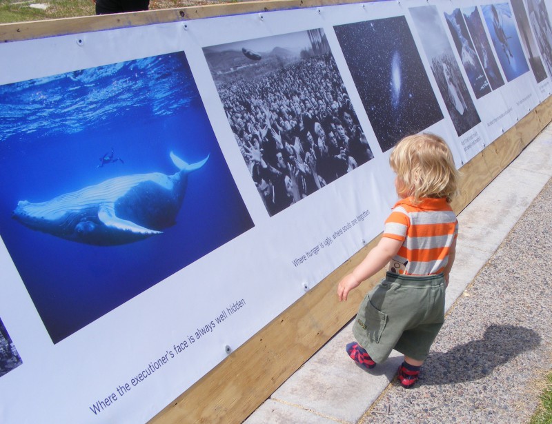 Japon : deux expositions photos au service du développement durable ...