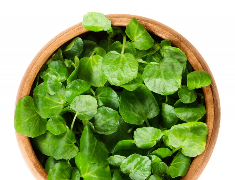 Le cresson, un super-aliment, bon pour la santé et bon pour la planète