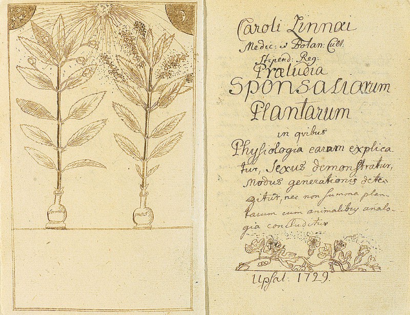 Carl Von Linné, Un naturaliste majeur tombe dans l’oubli