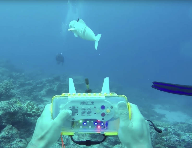 Etats-Unis : SoFi, le poisson-robot, espion de la faune marine