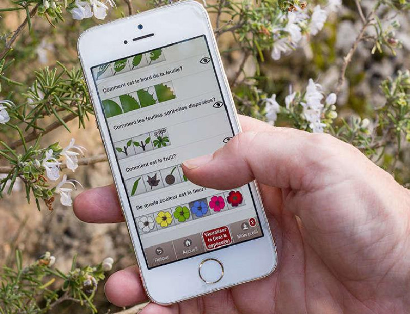 Biodiversité : une application pour découvrir la faune et la flore