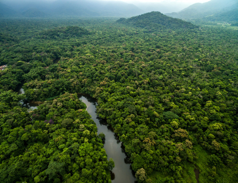 Colombie : l'accès au plus grand parc naturel de forêt équatoriale ...