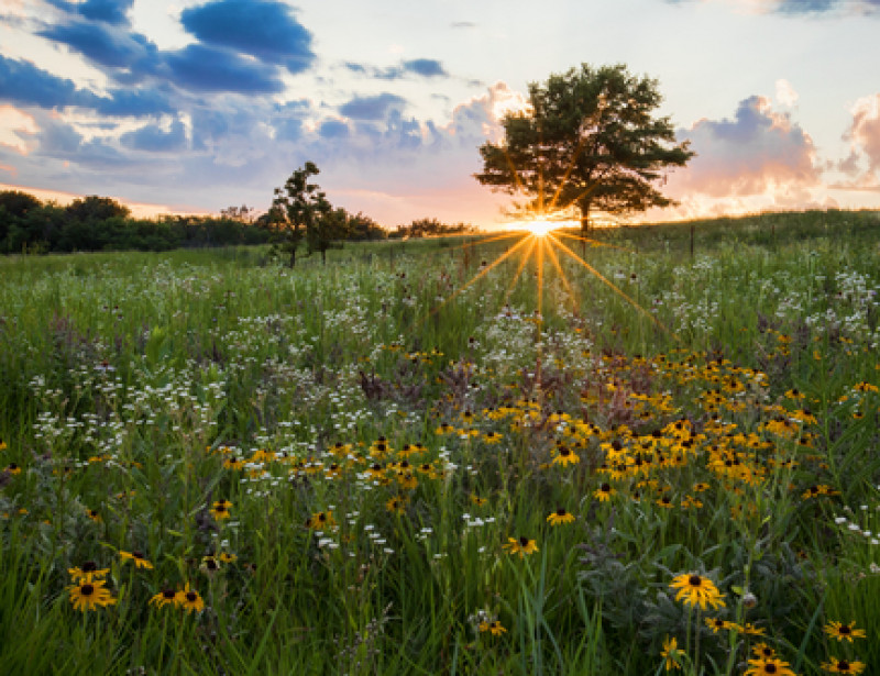 Pour nourrir l'Europe en 2050, une étude suggère une augmentation des ...