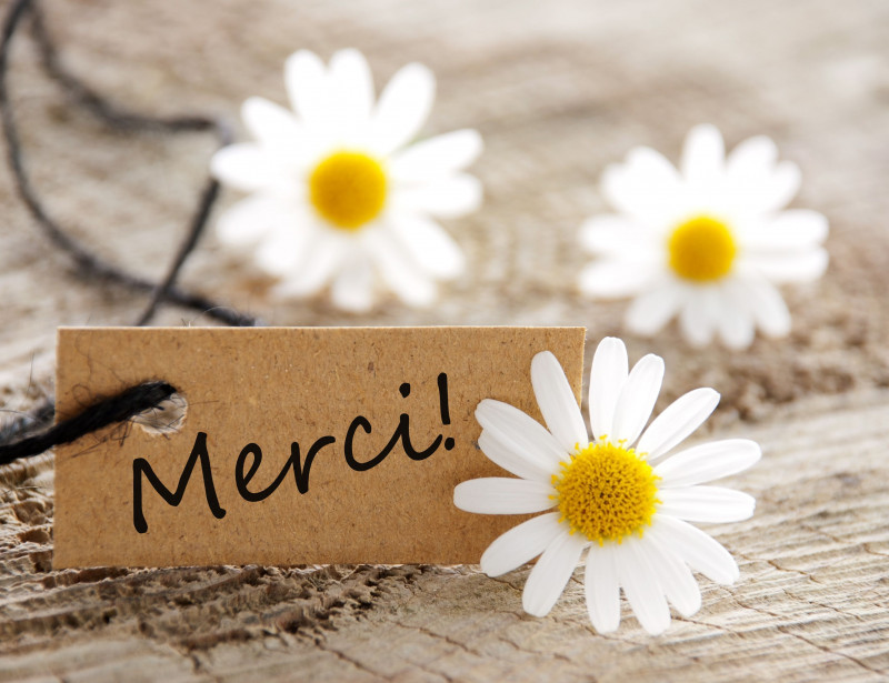 Un grand merci à tous nos contributeurs