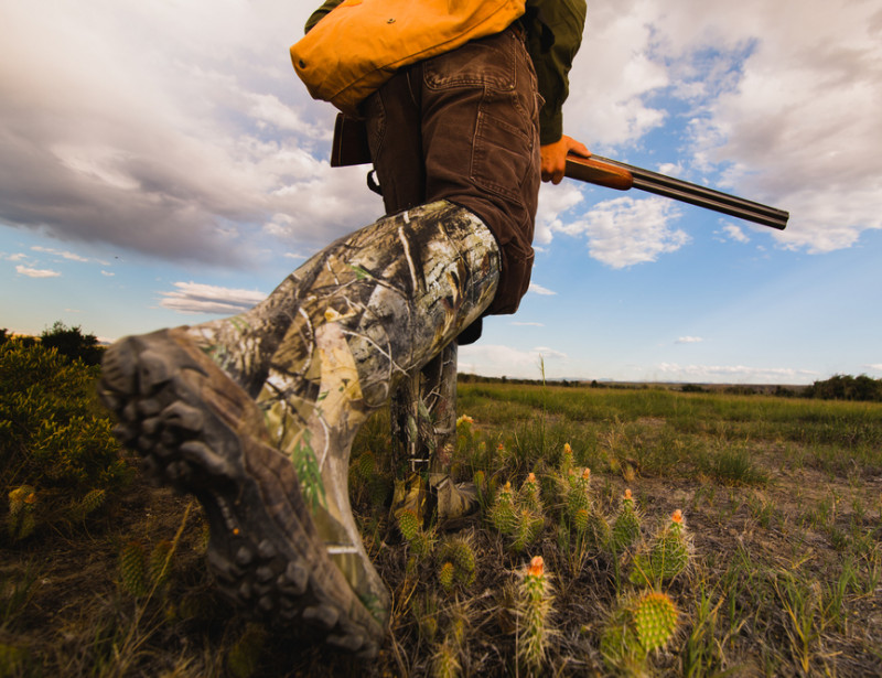 Dans l'Yonne, des chasseurs veulent mieux partager la forêt