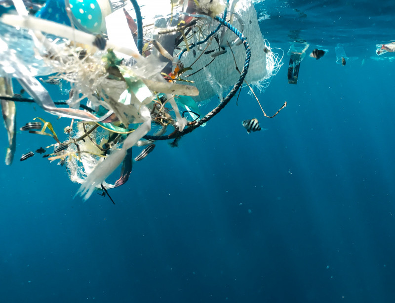 Pollution plastique : qu'est-ce que le "septième continent"