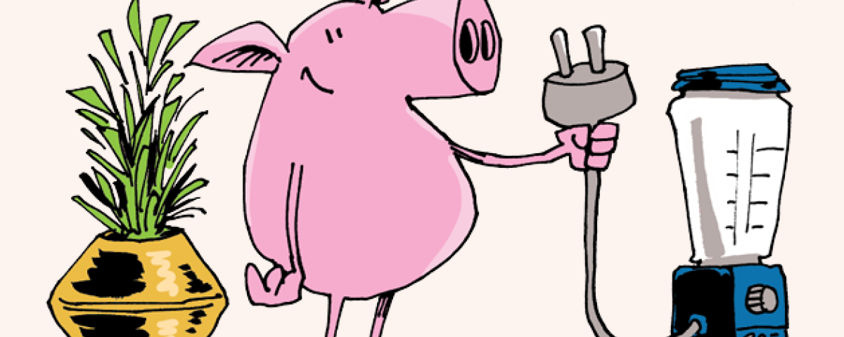 Electroménager : s’équiper à moindre coût en mode écolo, testez vos ...