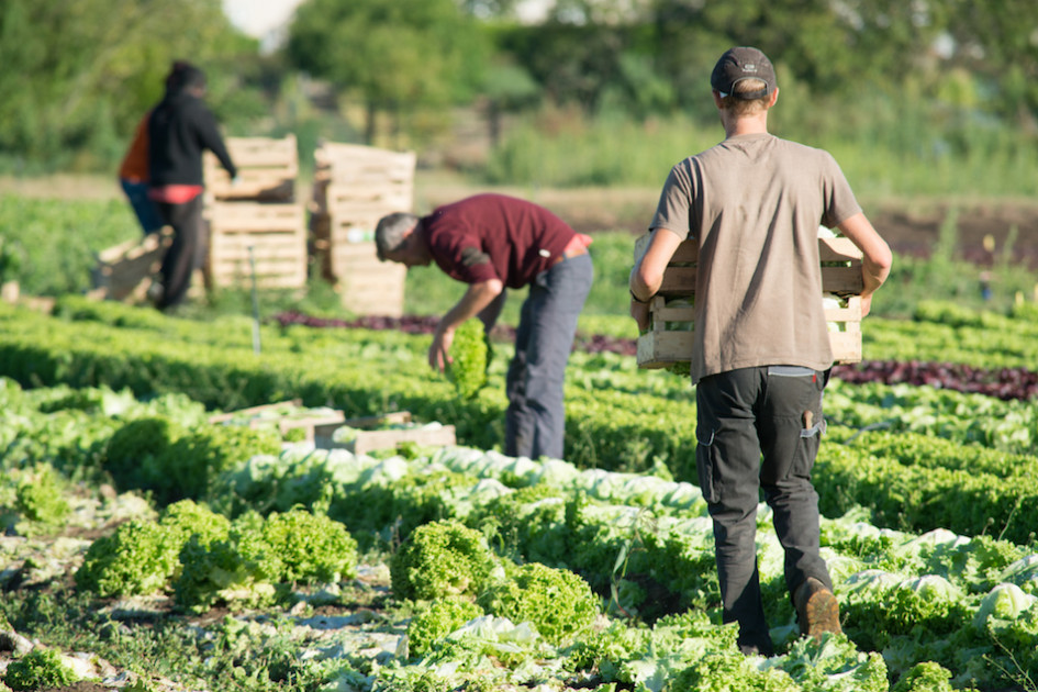 Manger local dans la région Centre