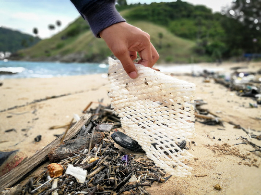 Les opérations de nettoyage des plages se multiplient : comment y ...