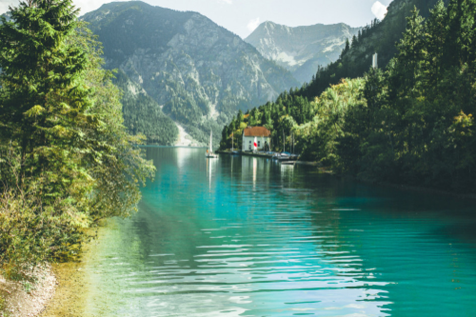 Deux heures au vert par semaine : c'est la clé du bonheur, disent les ...