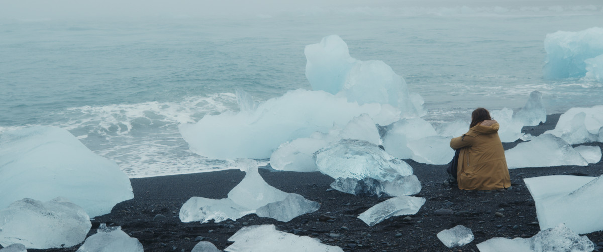 Expo, BD, documentaire : trois œuvres sur l’écologie à découvrir