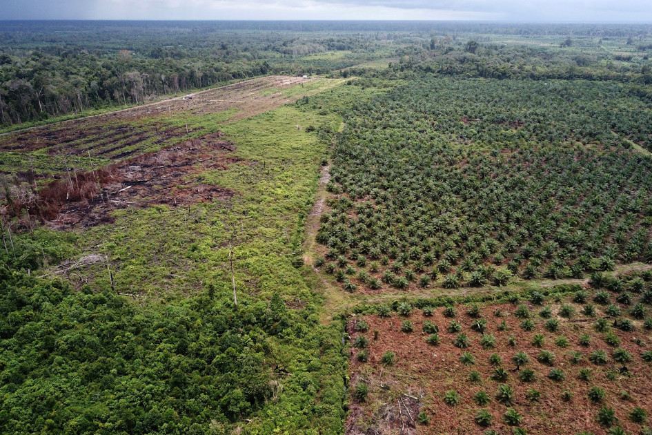 Agriculture intensive et déforestation mènent la planète au "bord du ...