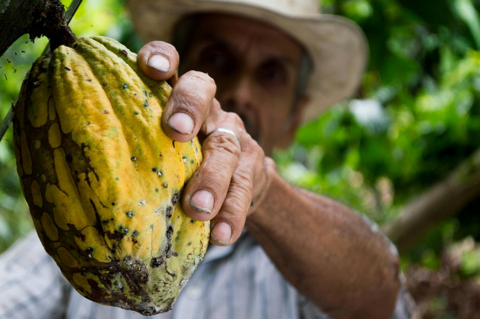 Cacao responsable: la France à la traîne, dénonce un rapport